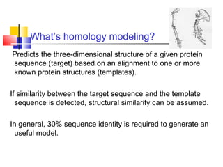 Homology modeling | PPT