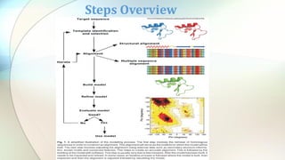 Structural Bioinformatics - Homology modeling & its Scope | PDF