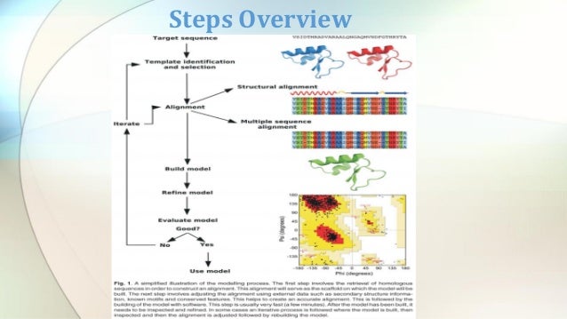 Structural Bioinformatics - Homology modeling & its Scope Structural Bioinformatics - Homology modeling & its Scope