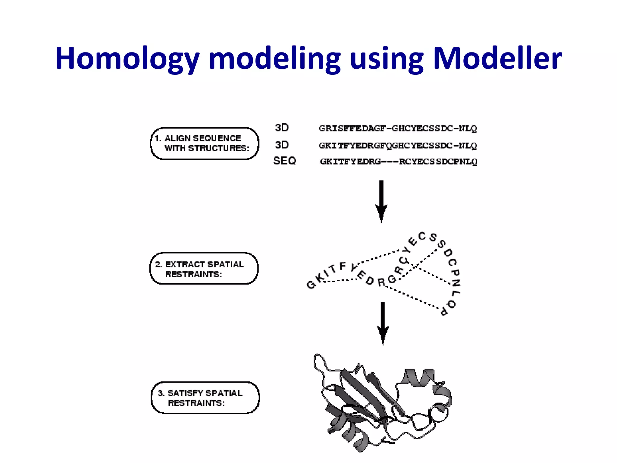 Homology modeling: Modeller | PPTX