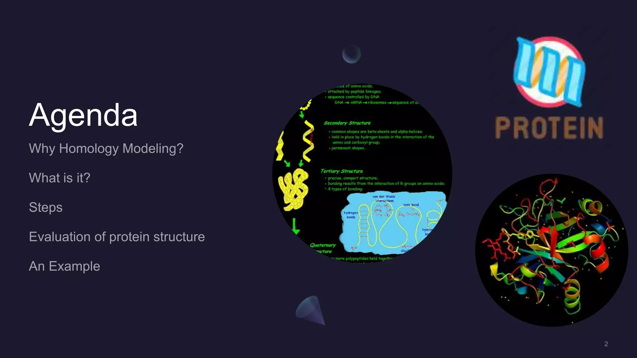 Homology modeling of proteins (ppt) | PPTX