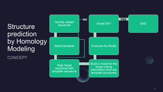 Homology modeling of proteins (ppt) | PPTX