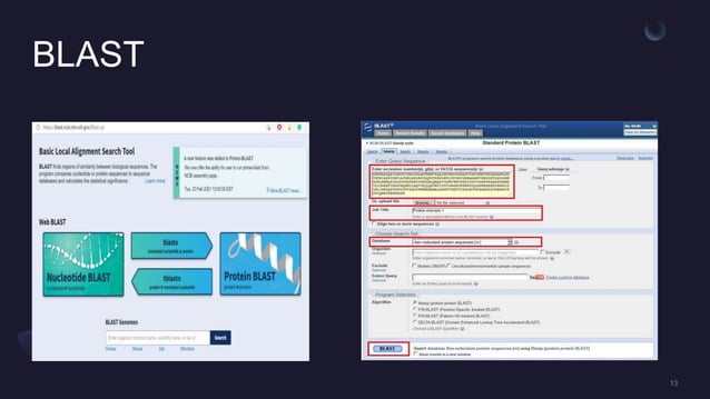 Homology modeling of proteins (ppt) | PPTX