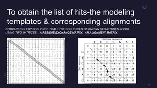 Homology modeling of proteins (ppt) | PPTX
