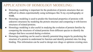 HOMOLOGY MODELING PPT bhhhhhhjjjjjjjjjjjj | PDF