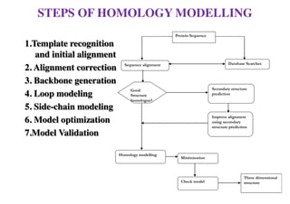 homology modellign lecture .pdf