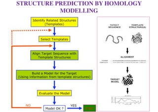homology modellign lecture .pdf
