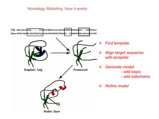 Homology modelling-Protein structure prediction | PPT | Chemistry | Science