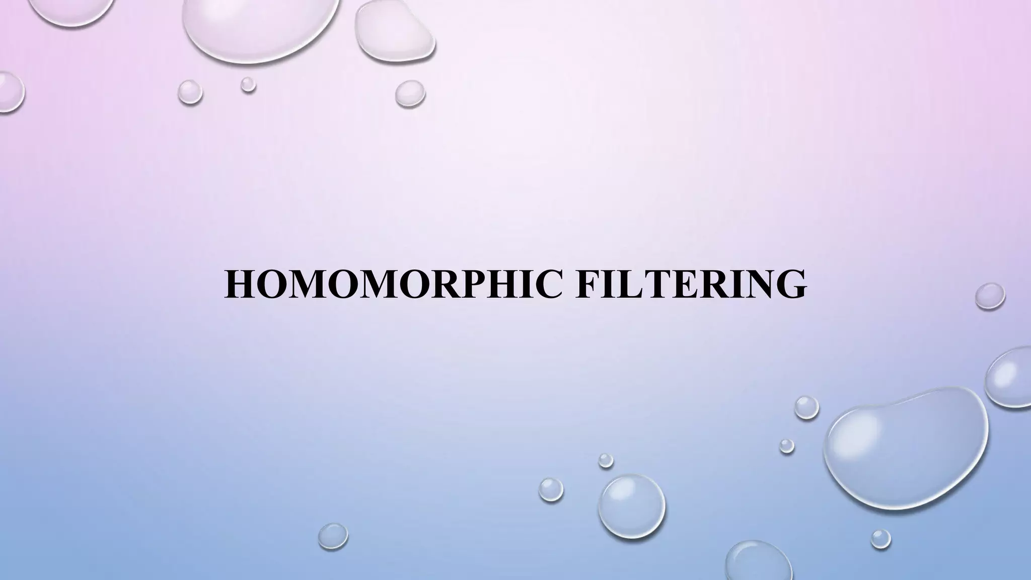 Homomorphic filtering | PPTX | Photo Editing Software | Computer ...