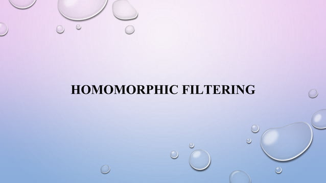 Homomorphic filtering | PPTX | Photo Editing Software | Computer Software and Applications