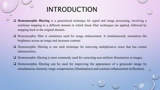 Homomorphic filtering | PPTX | Photo Editing Software | Computer ...