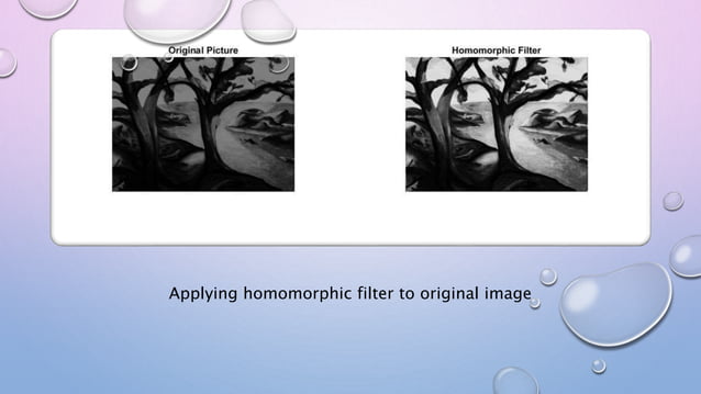 Homomorphic filtering | PPTX | Photo Editing Software | Computer Software and Applications