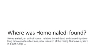 Homo naledi ancient human.pptx
