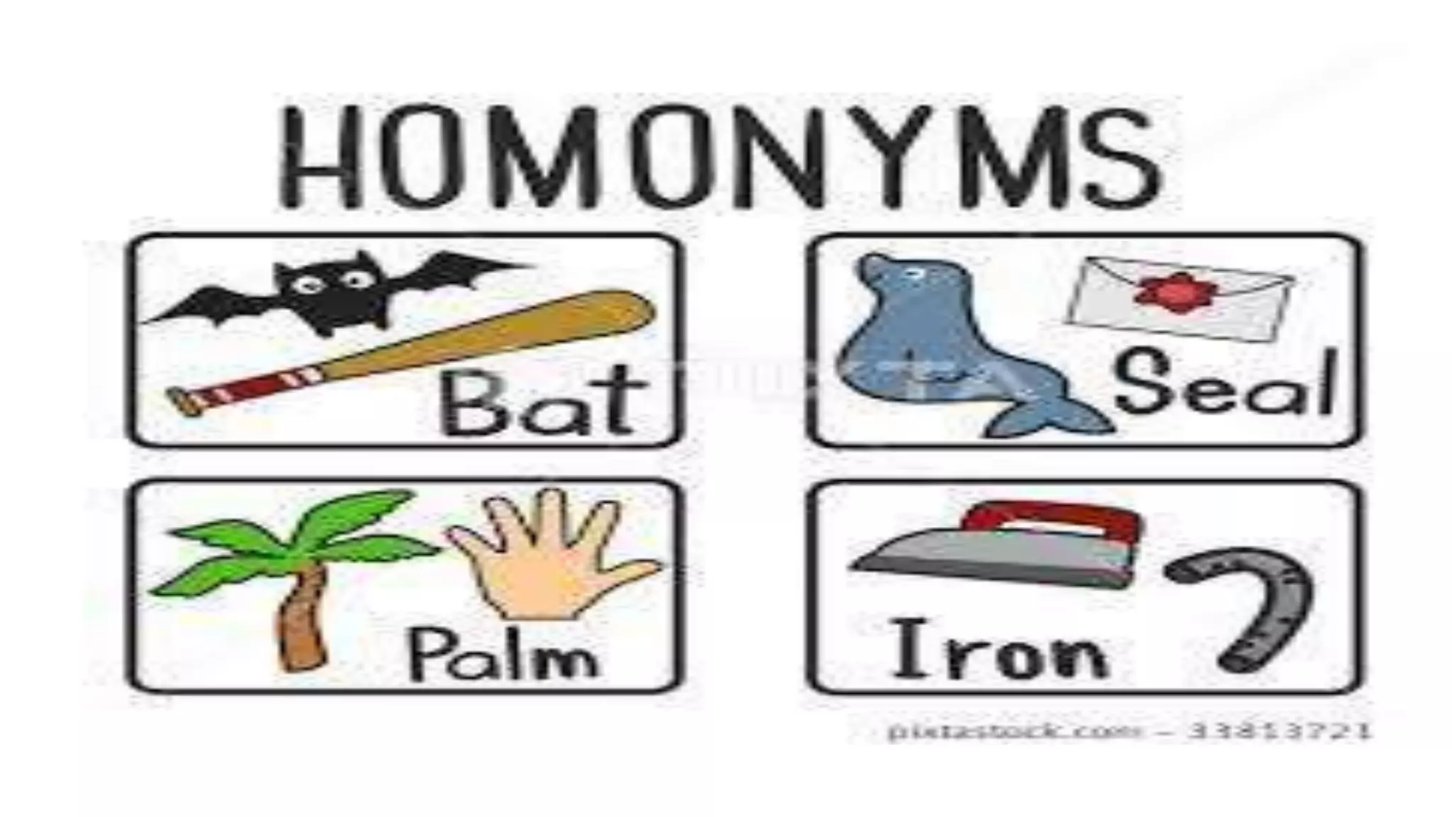 Homonyms | PPTX