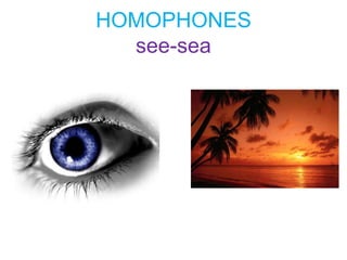 homonyms.ppt