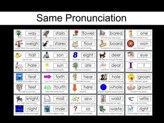 Homonyms & Homophones | PPTX