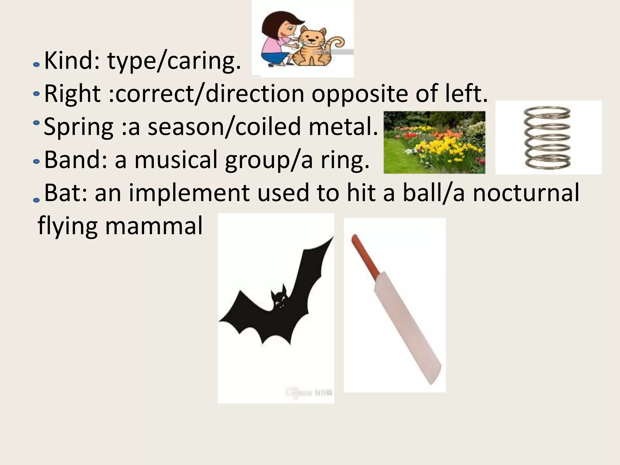 Homonyms and homophones | PPTX