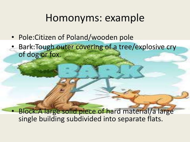 Homonyms and homophones | PPTX