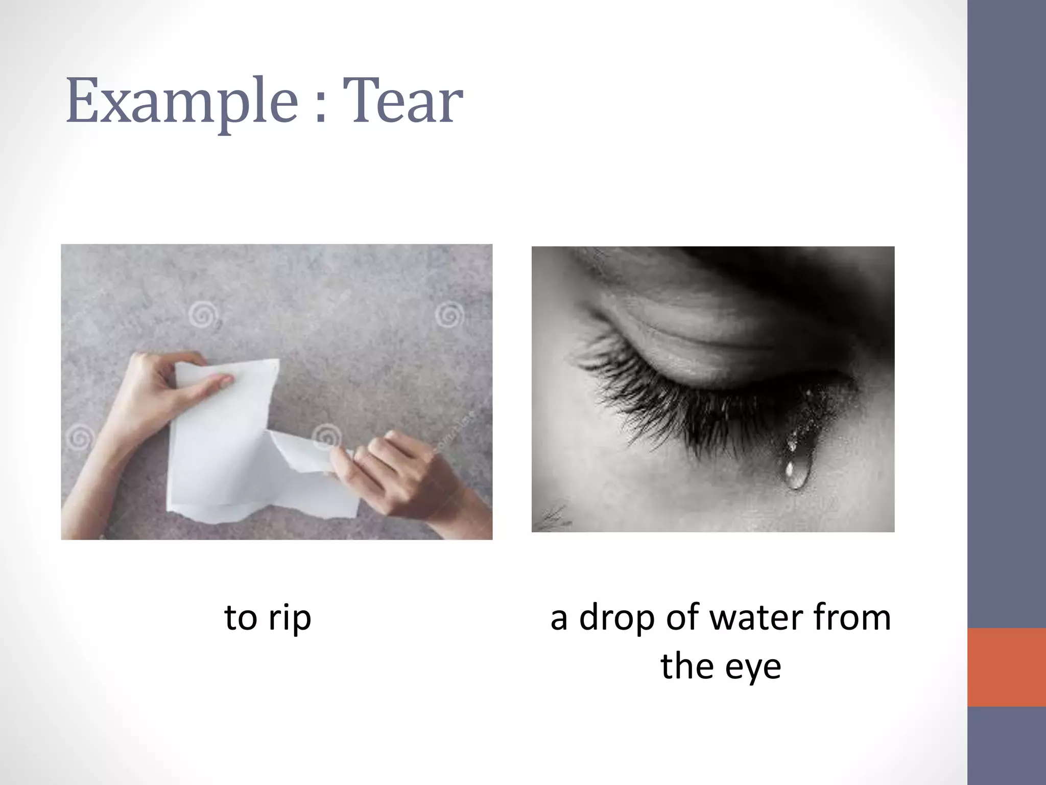 Homonyms, homophones, and homographs | PPTX