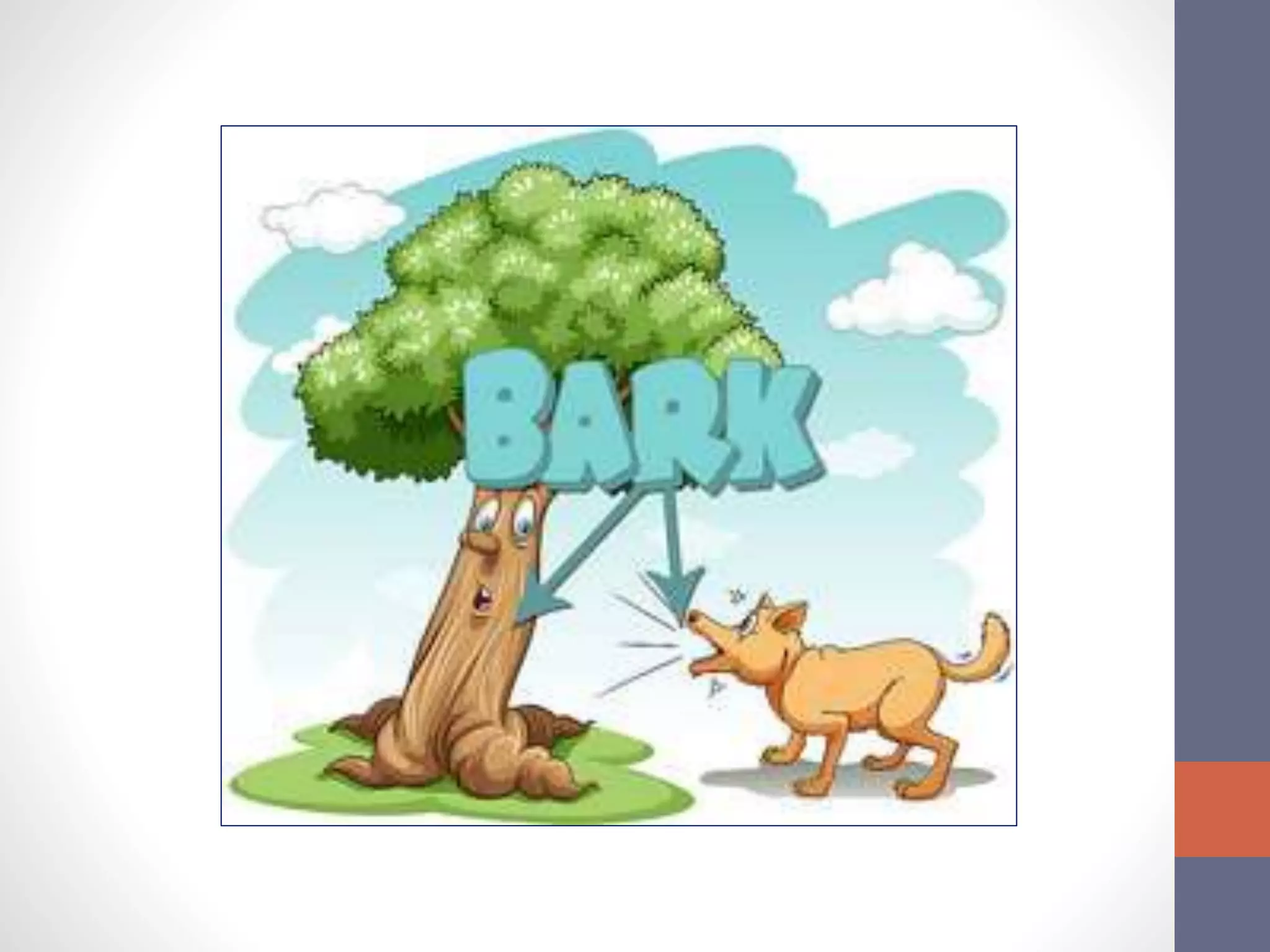 Homonyms, homophones, and homographs | PPTX