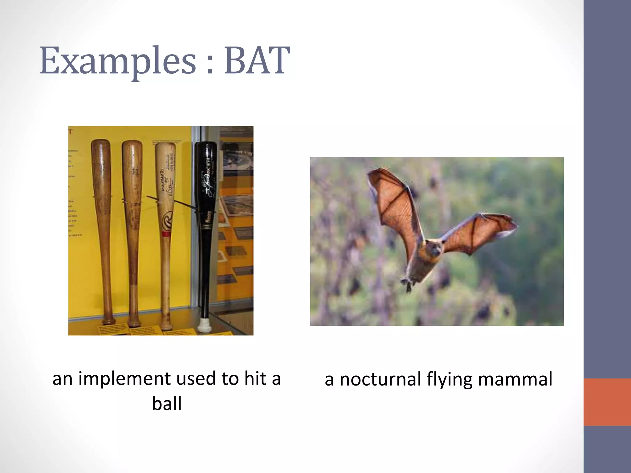 Homonyms, homophones, and homographs | PPTX