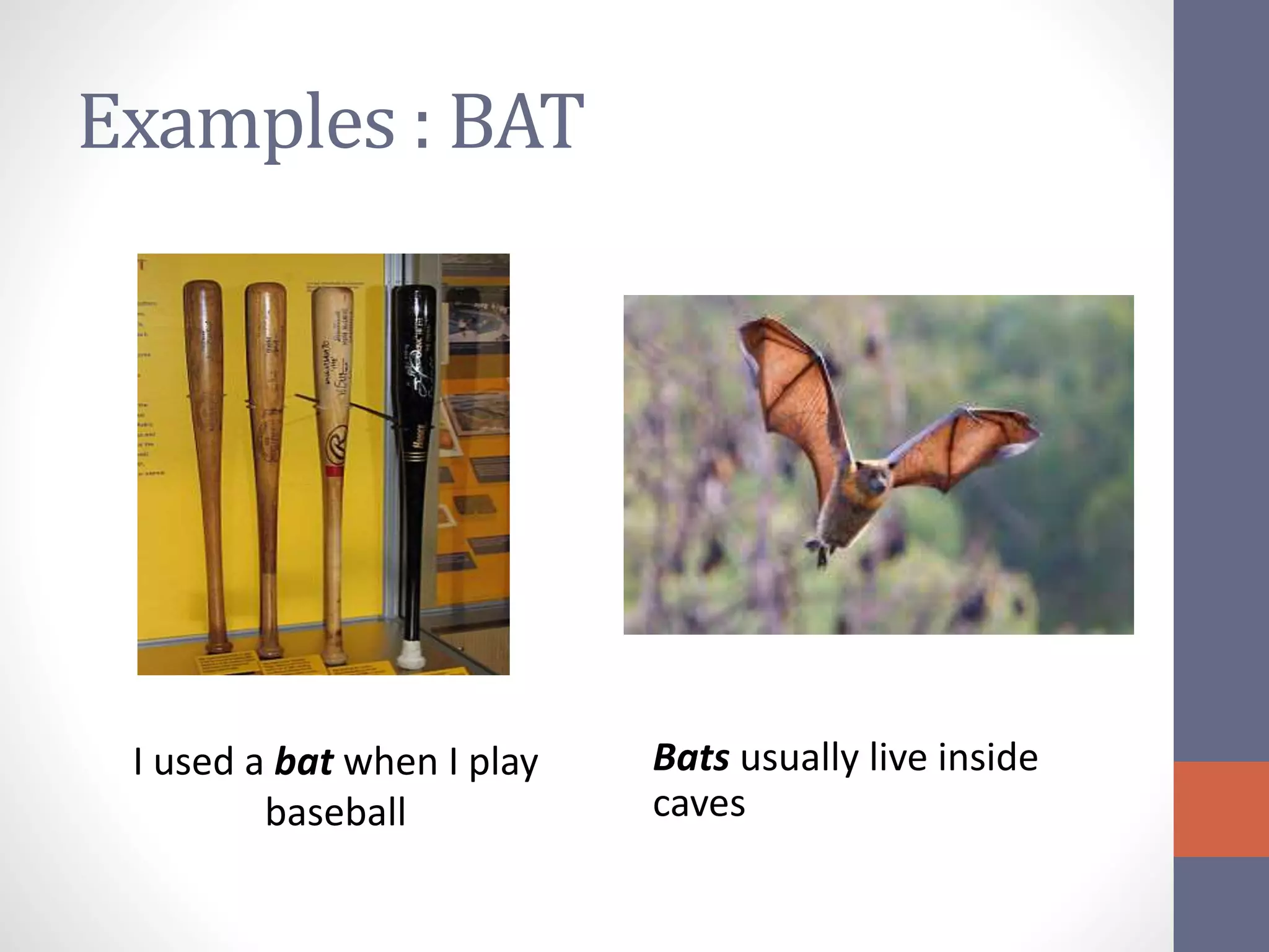 Homonyms, homophones, and homographs | PPTX