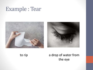 Homonyms, homophones, and homographs | PPTX