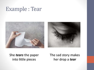 Homonyms, homophones, and homographs | PPTX