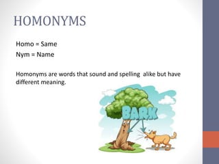 Homonyms, homophones, and homographs | PPTX