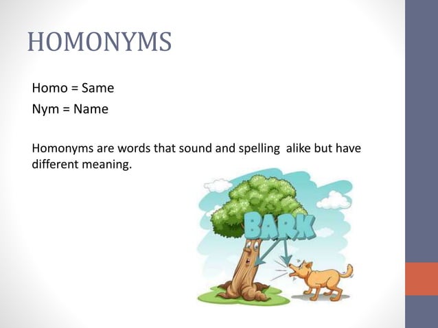 Homonyms, homophones, and homographs | PPTX