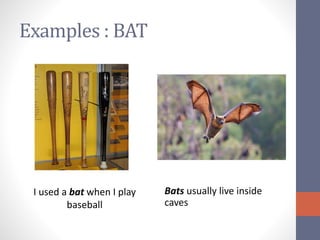 Homonyms, homophones, and homographs | PPTX