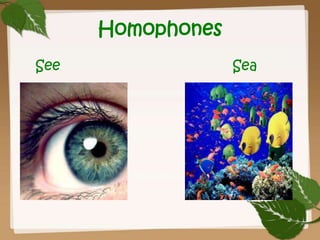 Homonyms, homophones, homographs dian kurnia sari | PPTX