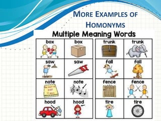 Homonyms presentation | PPTX
