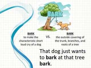 Homonyms presentation | PPTX