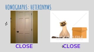 Homophone and homograph G3 | PPTX