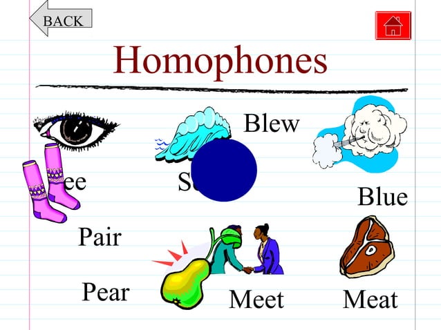 Homophone+homograph | PPT
