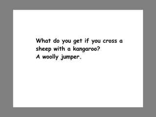 Homophone jokes | PPT