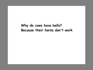 Homophone jokes | PPT