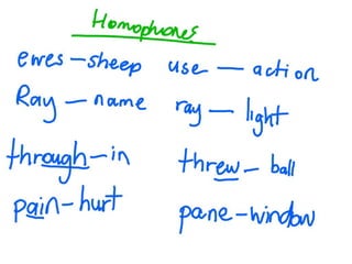 Homophones | PDF