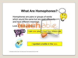 Fun with words: Homophones | PPTX