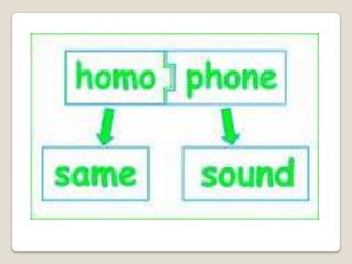 Fun with words: Homophones | PPTX