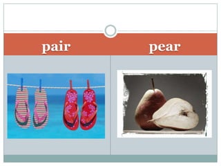 Homophones | PPTX