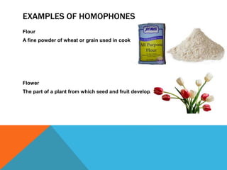 Homophones | PPT
