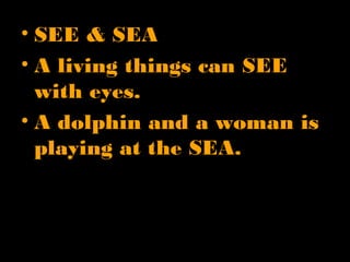 English : Homophones | PPS | Beekeeping | Hobbies & Interests