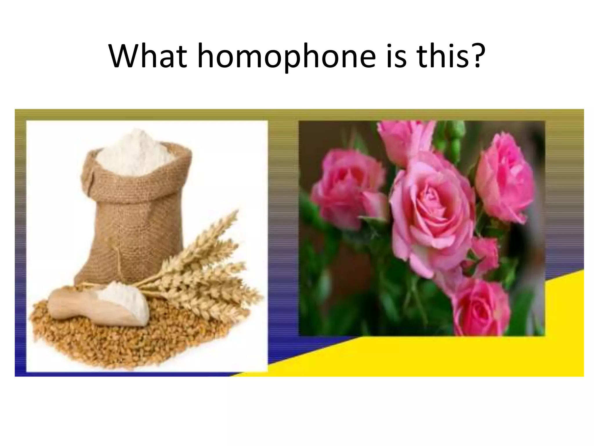 Homophones | PPTX