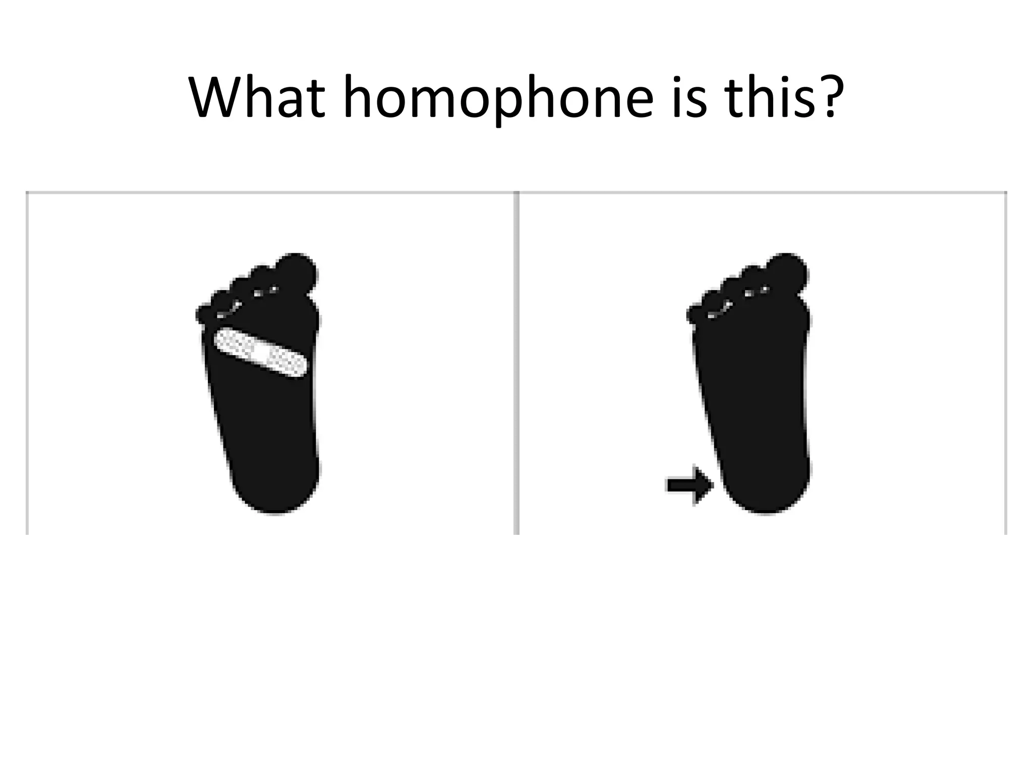 Homophones | PPTX
