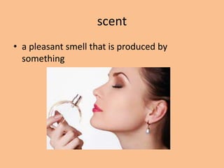 Homophones 18 | PPTX