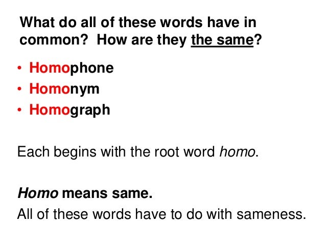 homophones-homonyms-and-homographs-lesson.ppt
