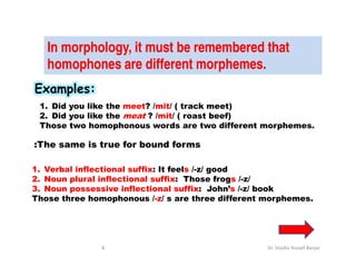 Homophones LANE 333 - Dr.Shadia Yousef Banjar | PDF
