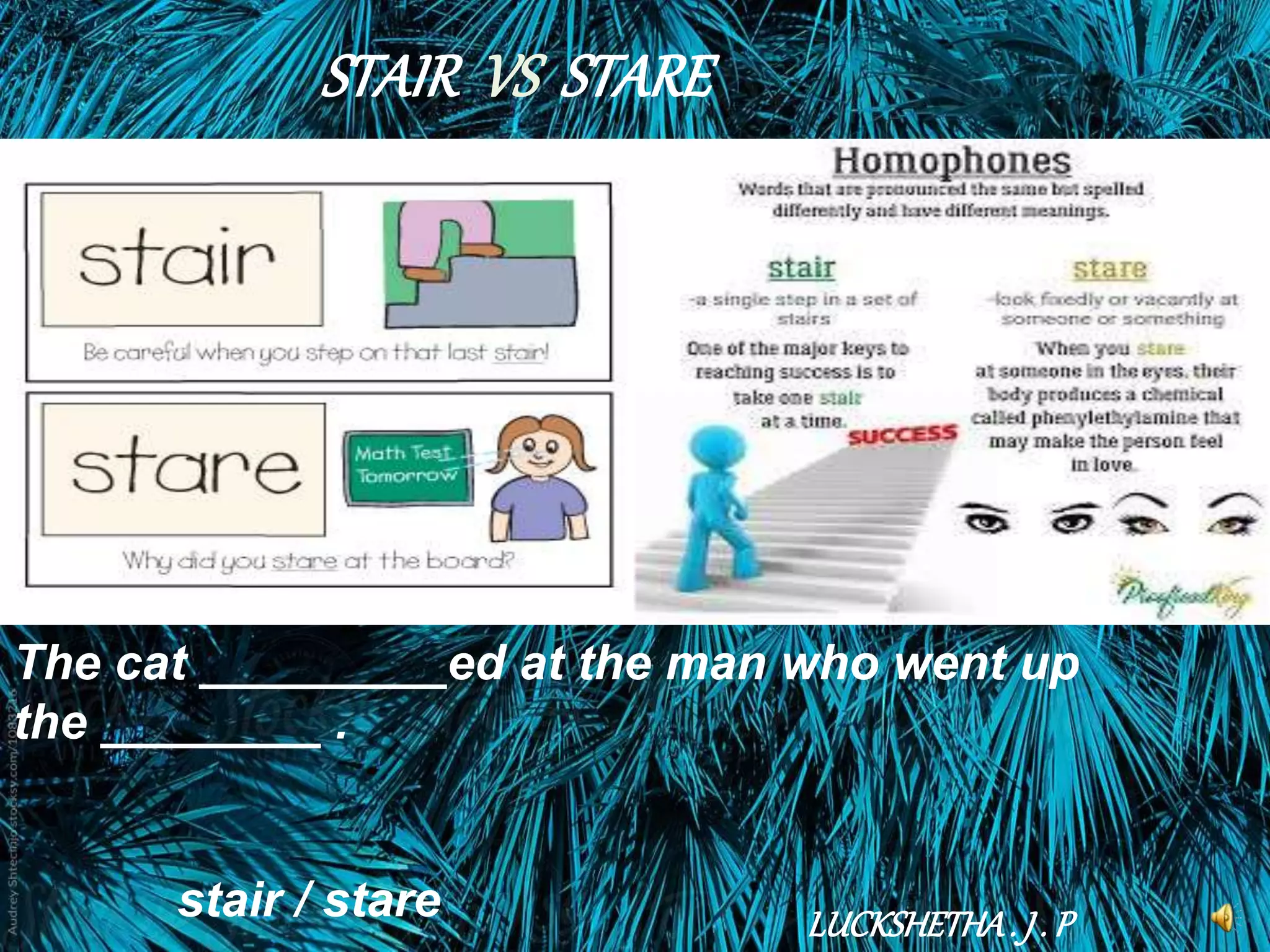 Homophones 32 words | PPTX